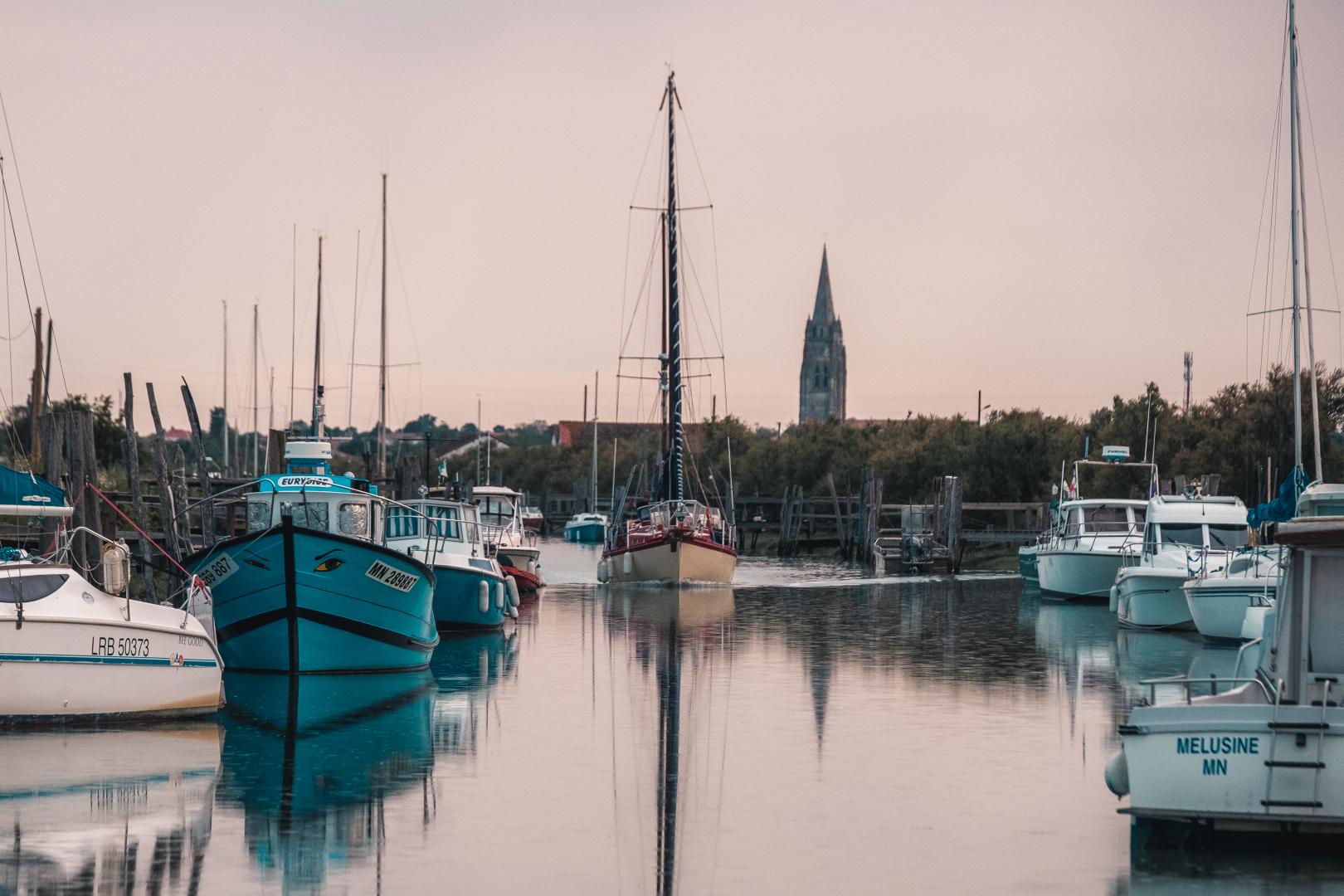 5 activités insolites à découvrir dans le Bassin de Marennes